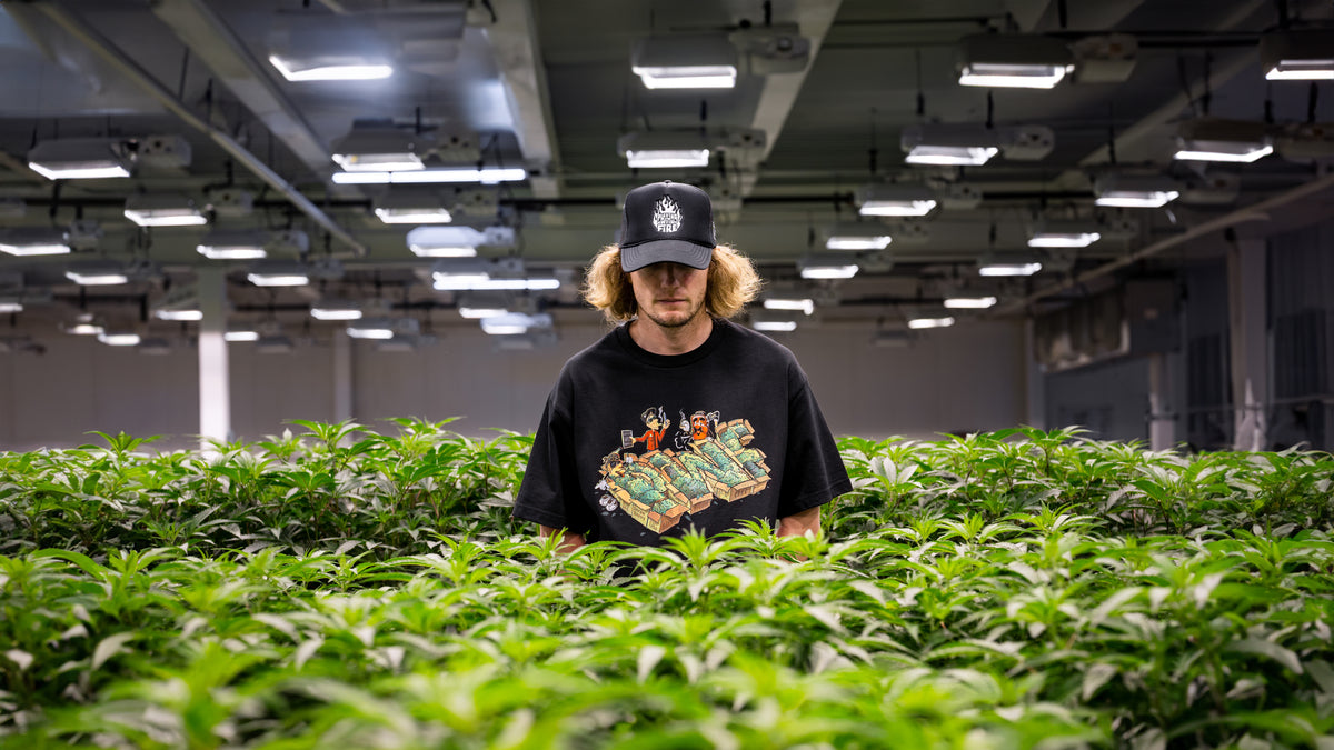 Jungle Boys Clothing